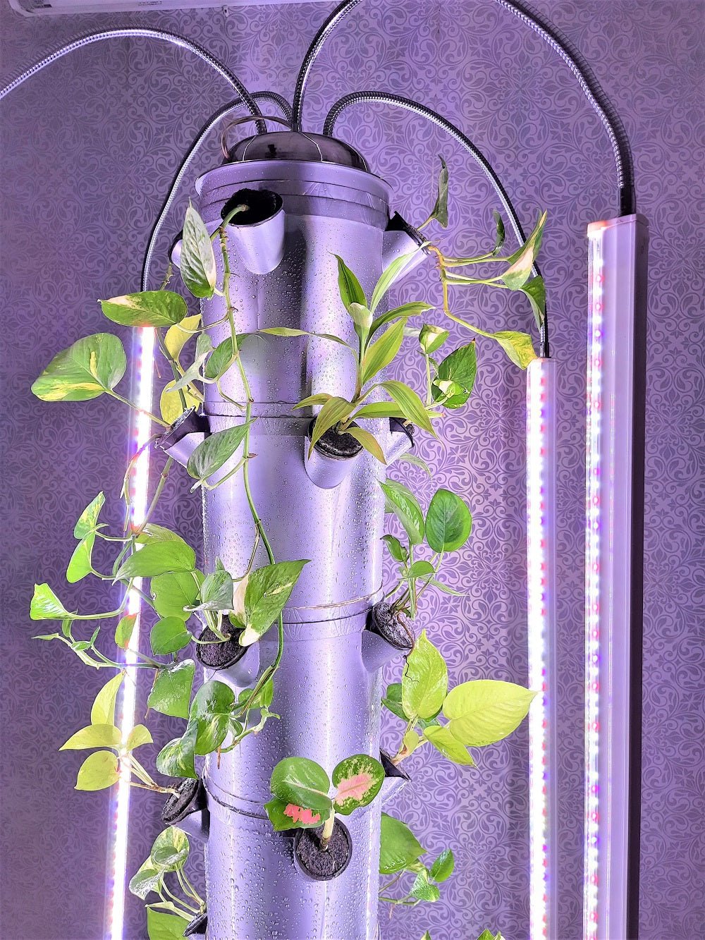 Indoor Aerotower-32 : Vertical Aeroponic grow kit for 32 plants with G ...